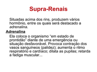 Sistema Endócrino | PPT