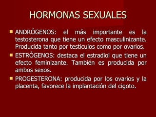 APUNTES DE CLASE SISTEMA ENDOCRINO | PPT
