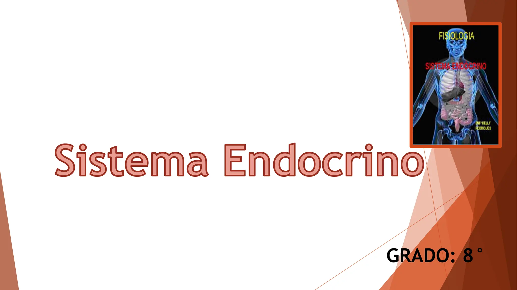Diapositivas Del Sistema Endocrino