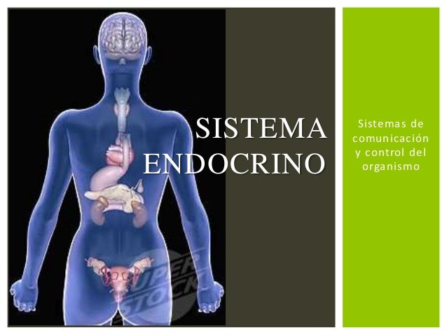Sistema endocrino Danny Serrano Sistema endocrino Danny Serrano