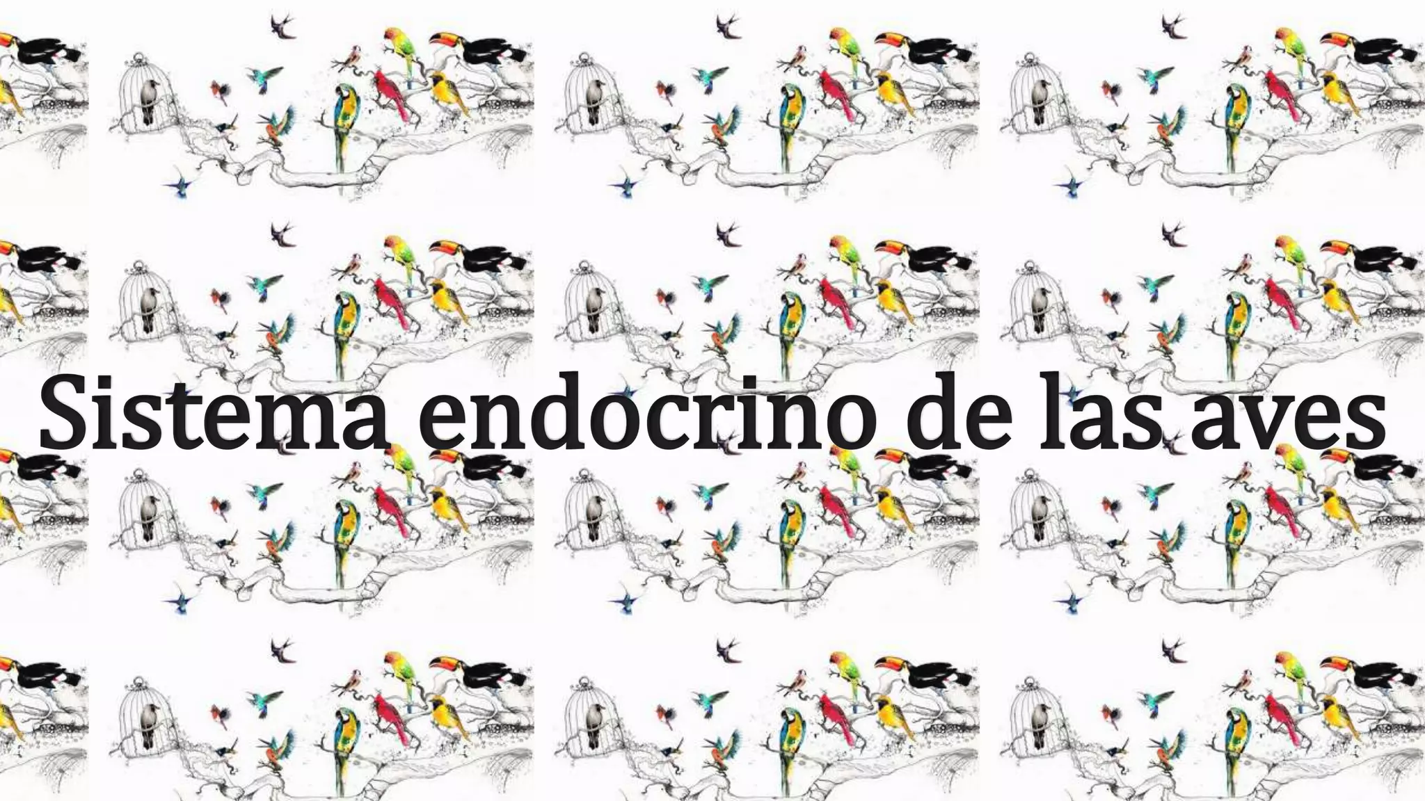 Sistema endocrino de las aves | PPTX