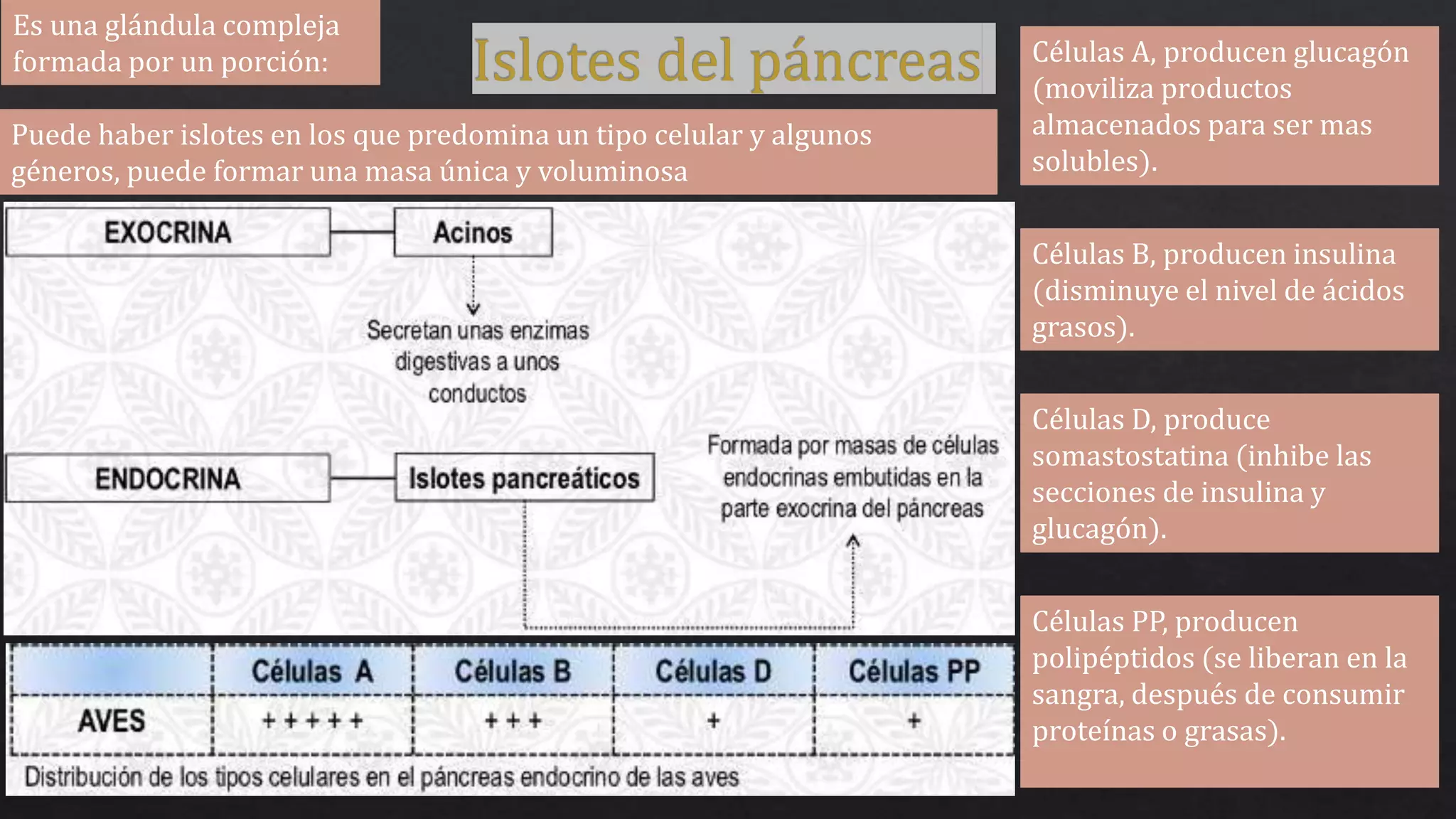 Sistema endocrino de las aves | PPTX