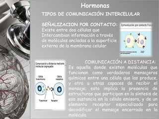 Estudios Endocrinologia sistema endocrino generalidades | PPTX