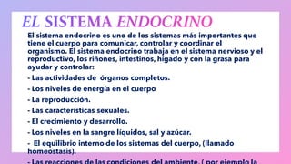 SISTEMA ENDOCRINO NUEVO.pdf