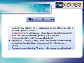 Sistema endocrino suprarrenal | PDF