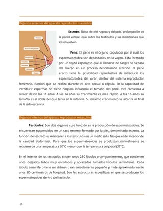 Sistema endocrino y aparato genital. | PDF