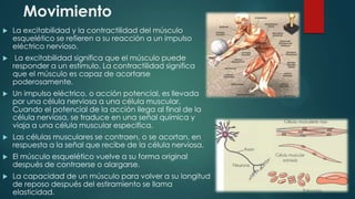Sistema esqueletico 1111 | PPTX
