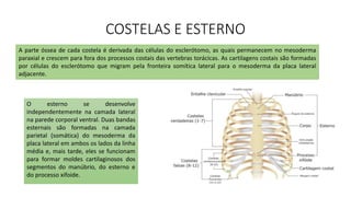 SISTEMA ESQUELETIVO- AXIAL, AULA 02.pptx