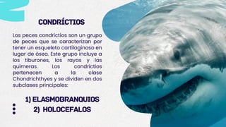 Sistema esqueléticoby urogenital en peces.pdf