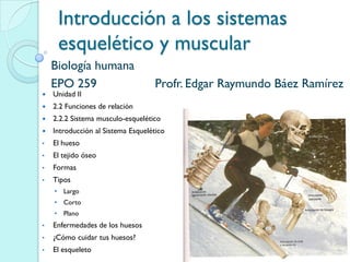Sistema esquelético y muscular | PPT