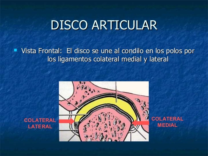 Sistema estomatognatico