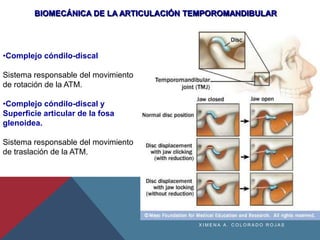 Sistema estomatognatico | PPTX