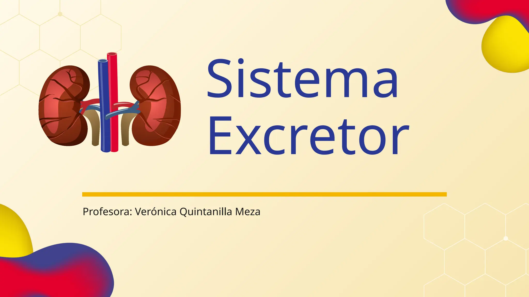 presentación del sistema excretor para niños.pptx
