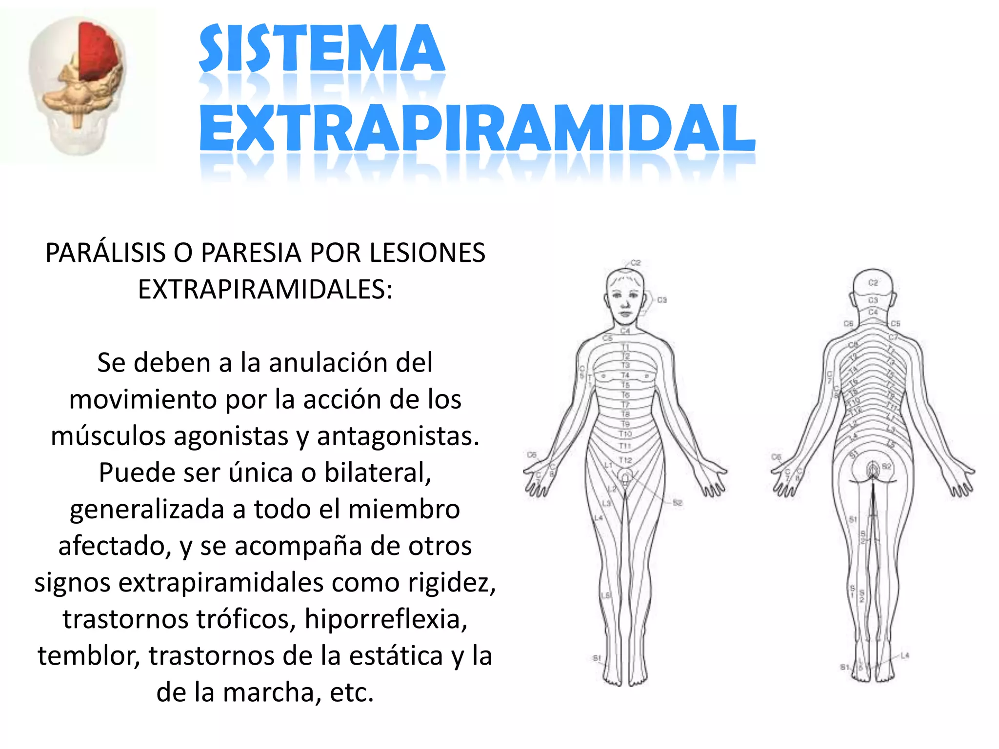 Sistema extrapiramidal | PPTX