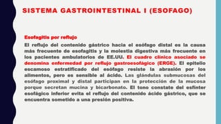 SISTEMA GASTROINTESTINAL I esófago, patologías | PPTX