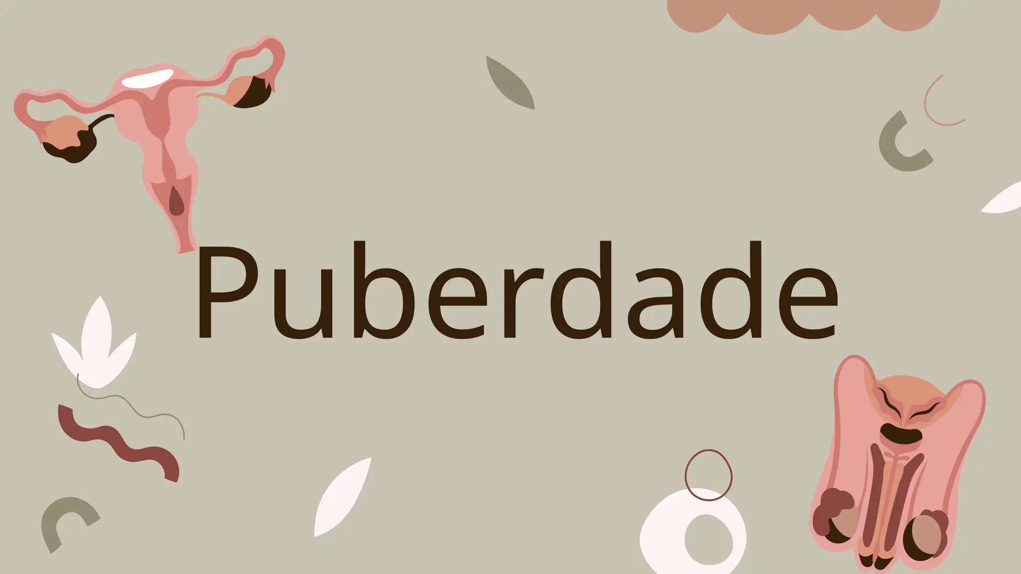 sistema genital e puberdade - 1 ano ensino médio | PPT