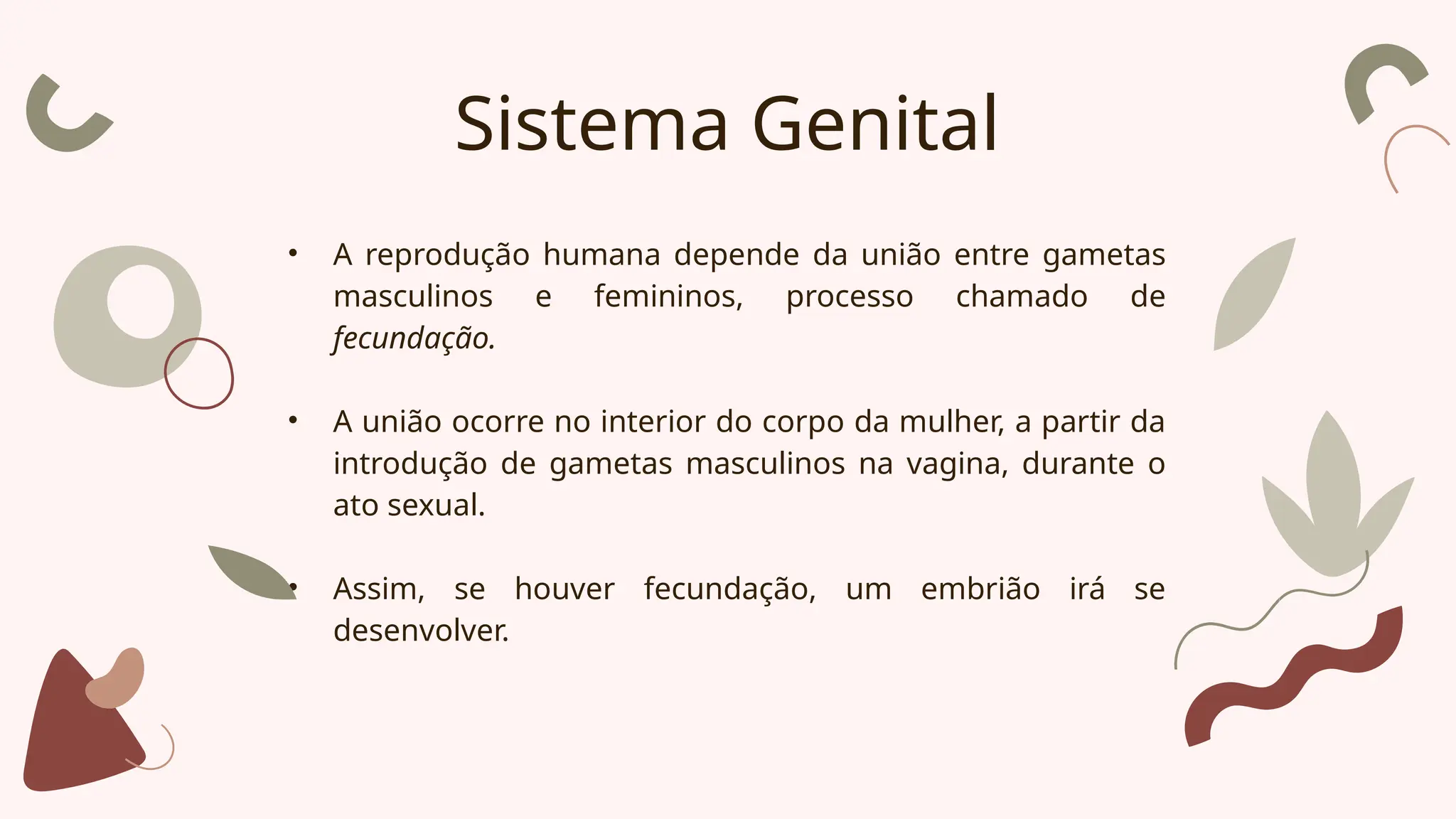 sistema genital e puberdade - 1 ano ensino médio | PPT