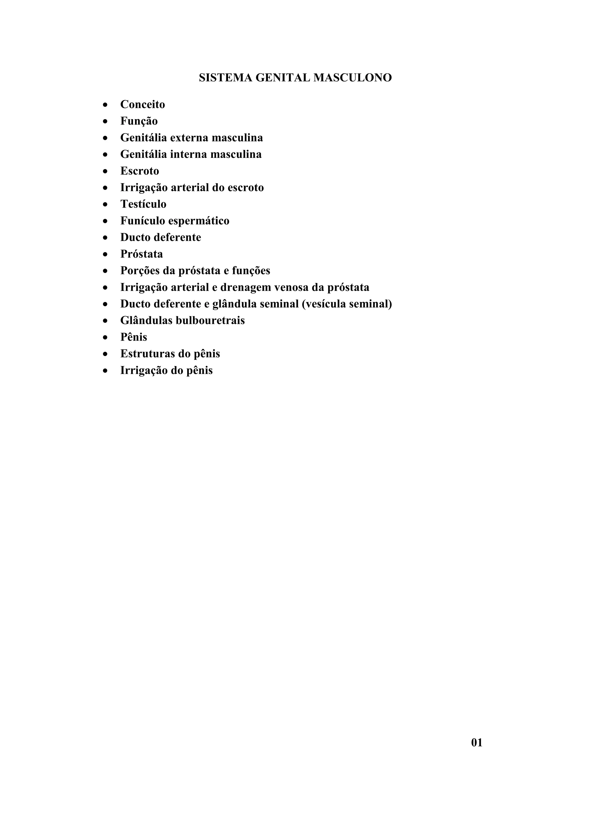 Sistema genital masculino | PDF