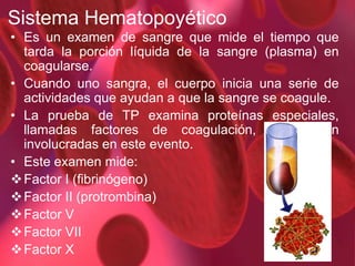 Sistema hematopoyético | PPTX