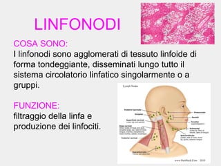 Sistema immunitario.pptx