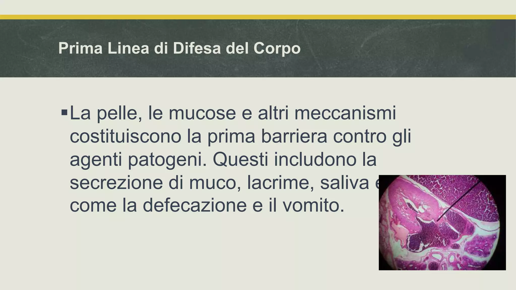 Sistema Immunitario.potx | Infectious Diseases | Diseases and Conditions