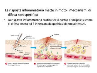 Sistemaimmunitarioluzzago | PPT