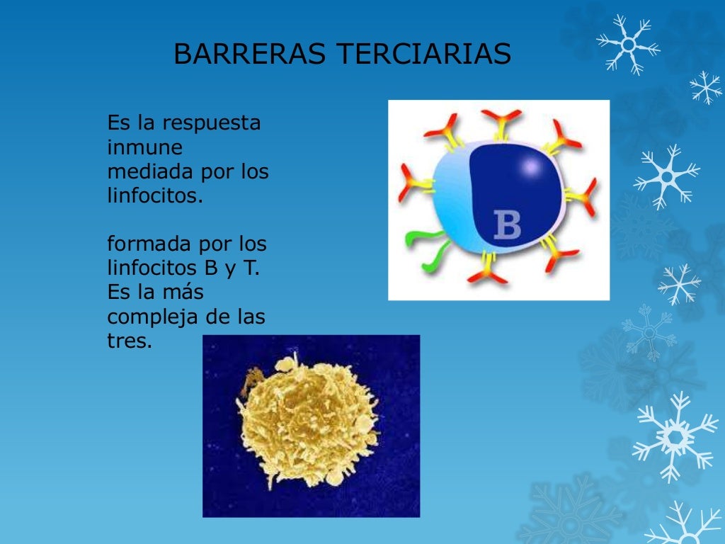 Sistema inmune
