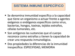 Diapositivas del Sistema Inmunologico- Anatomía | PDF
