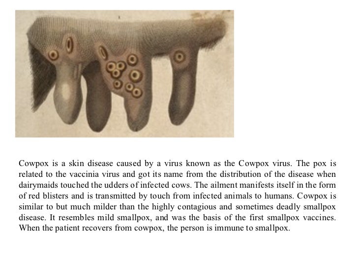 Sistema inmune 1 alx