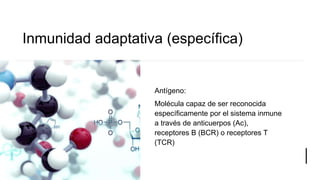 sistema inmune, características y funciones | PPTX