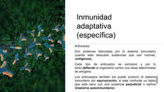 sistema inmune, características y funciones | PPTX