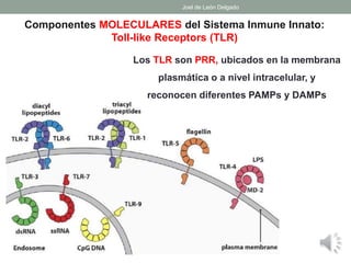 Sistema Inmune Innato actualizado.pptx