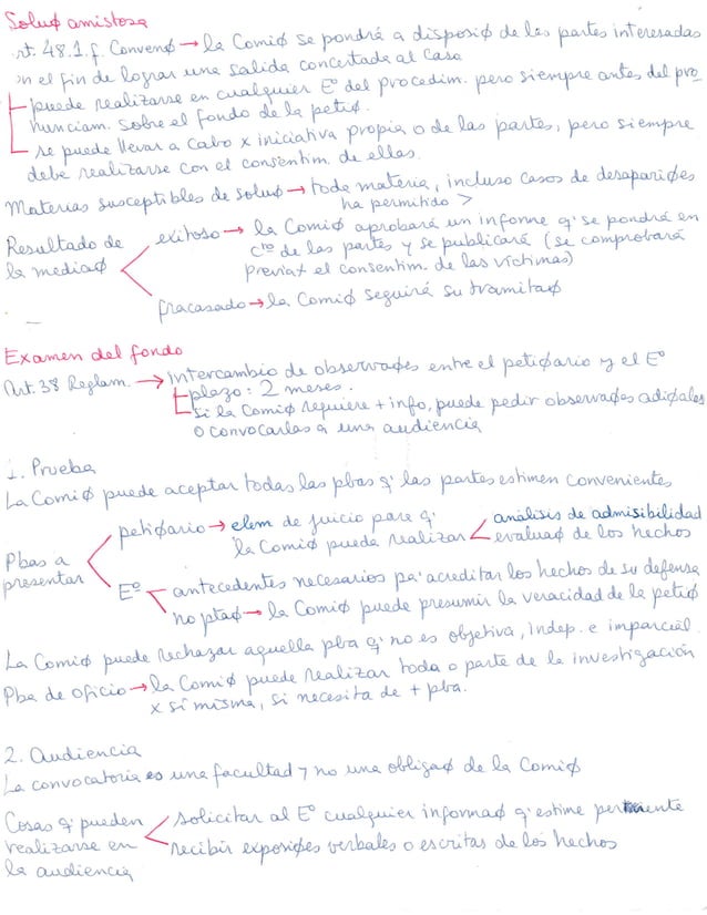 Sistema Interamericano Dd Hh Pdf