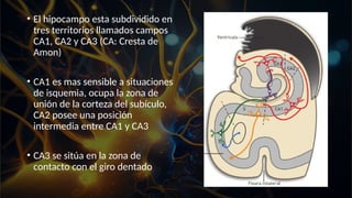 Generalidades y especificaciones del Sistema Limbico | PPTX