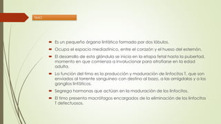 Sistema linfatico Anato Fisio Embrio Histo | PPTX