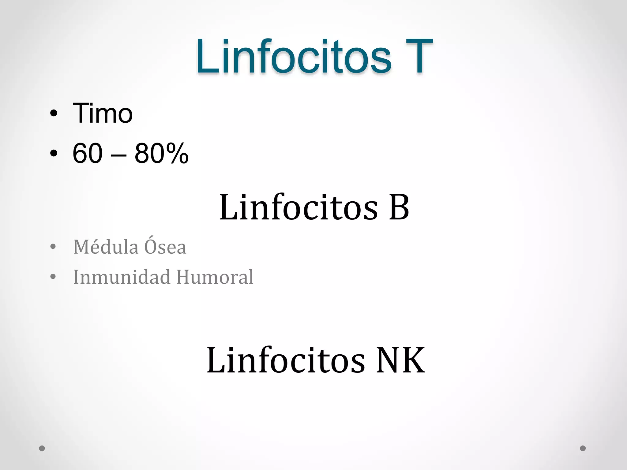 Histologia del Sistema Linfoide | PPTX
