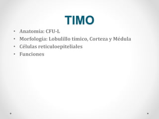 Histologia del Sistema Linfoide | PPTX