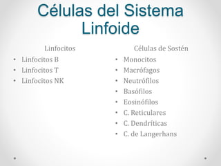 Histologia del Sistema Linfoide | PPTX