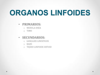 Histologia del Sistema Linfoide | PPTX