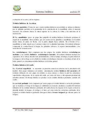 Sistema linfatico | DOCX