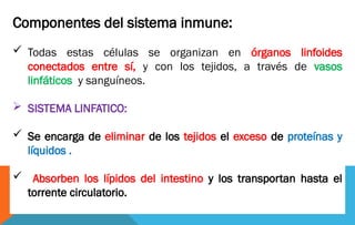 sistema linfatico y concepto y sus parte.pptx
