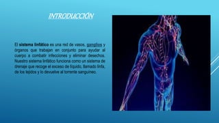 SISTEMA LINFATICO A..pptx