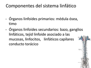 SISTEMA LINFATICO, ANATOMIA Y CORRELACION QUIRURGICA.pptx