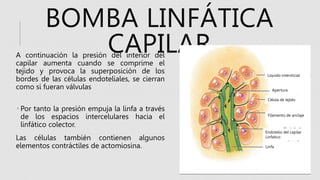 SISTEMA LINFATICO_pptx.pptx