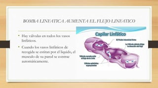 SISTEMA_LINFATICO_pptx.pptx