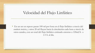 SISTEMA_LINFATICO_pptx.pptx