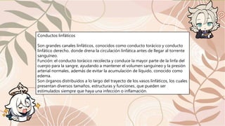 sistema linfatico tema 6.pdf