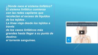 LINFATICOSISTEMA Y ENDOCRINO EXPOSICION BIOLOGIA.pptx