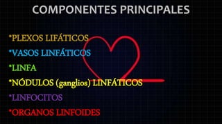 SISTEMA LINFOIDE. ANATOMIA HUMANA | PPTX