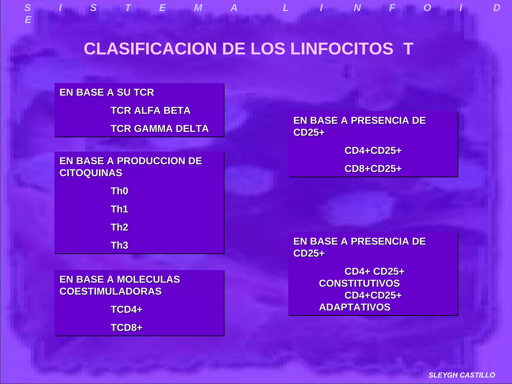 Sistema Linfoide Ucv 2006 | PPT | Blood Disorders | Diseases and Conditions